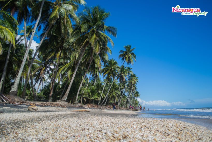 RACCN – Visita Nicaragua