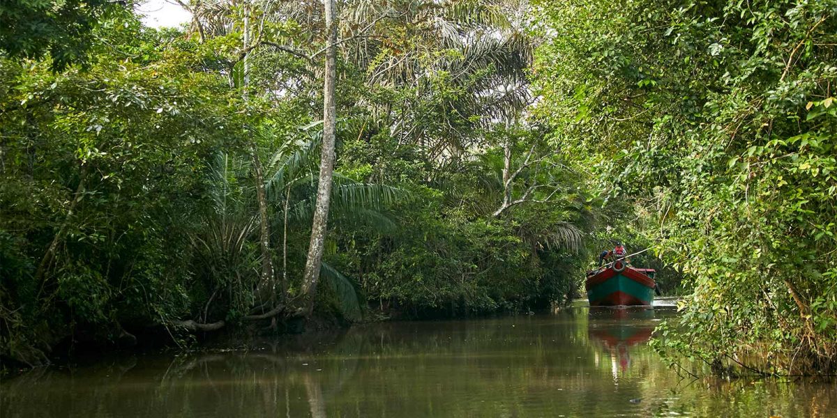 Los Guatuzos, a world-class tourist attraction