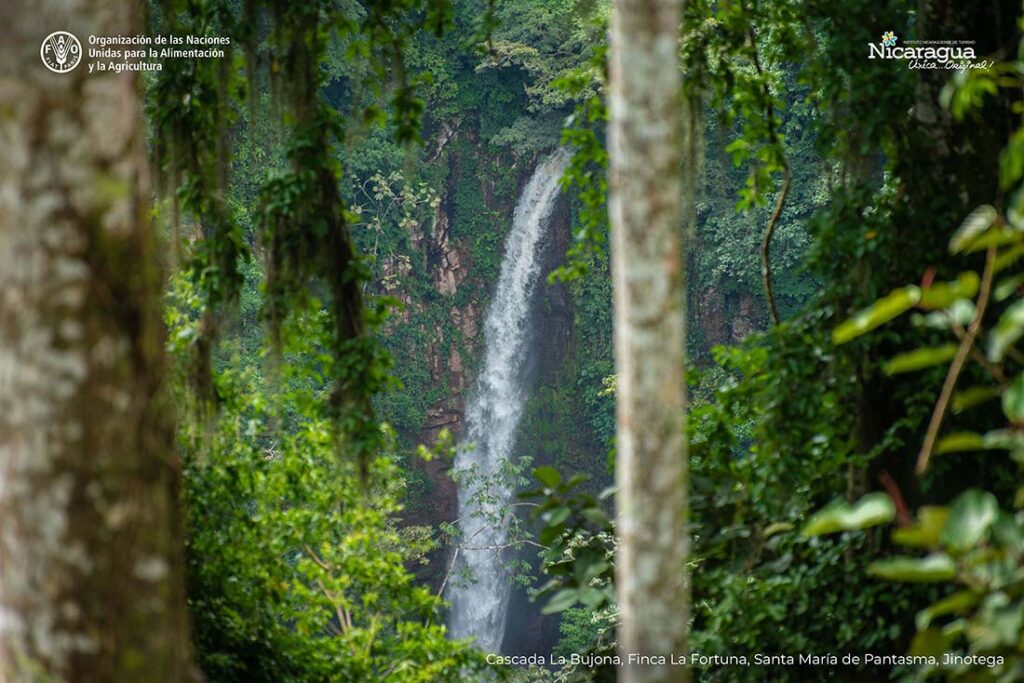 Cascada La Bujona, Finca La Fortuna, Santa María de Pantasma, Jinotega ...