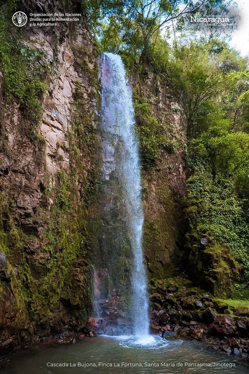 Cascada La Bujona, Finca La Fortuna, Santa María de Pantasma, Jinotega ...