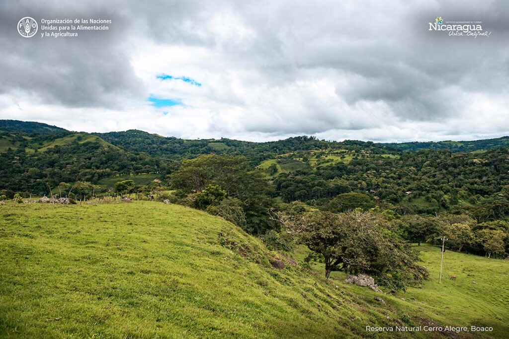 Reserva Natural Cerro Alegre, Boaco (2) – Visita Nicaragua