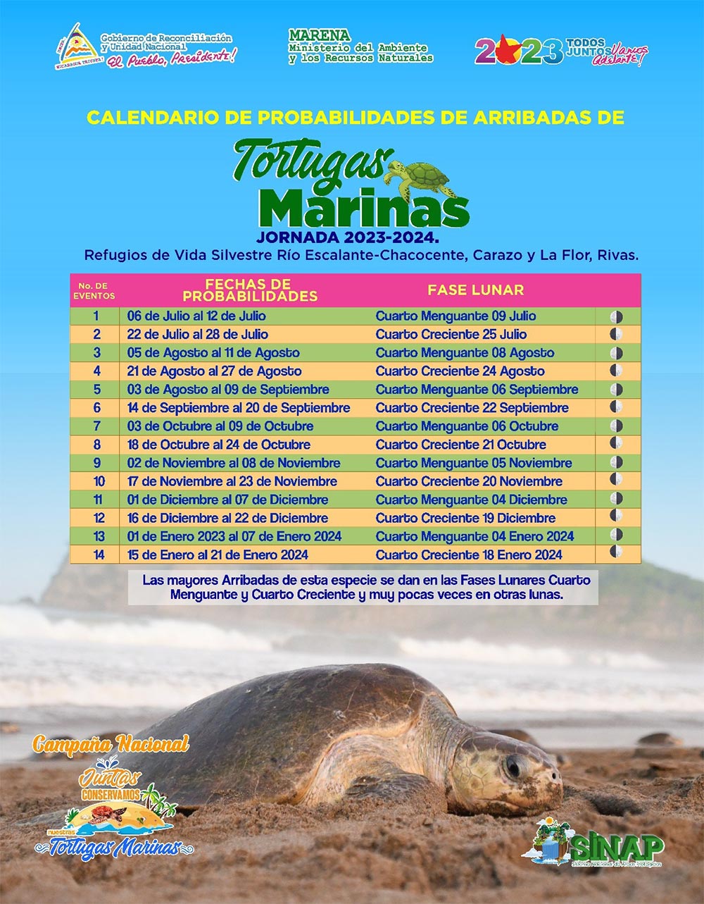 Tortugas-marinas – Visita Nicaragua