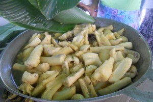 RACCN – Visita Nicaragua